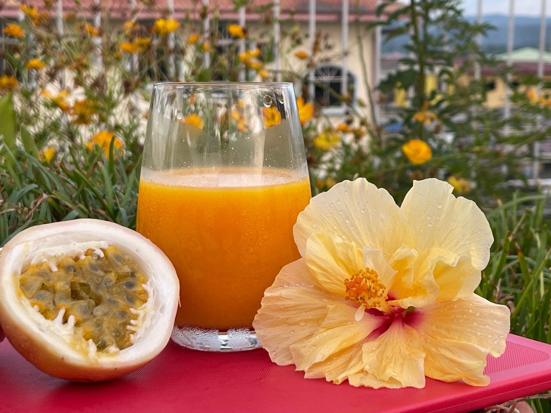 POG Juice and Pogs: Hawaii’s Iconic Drink and Game Origins – Bits of Aloha